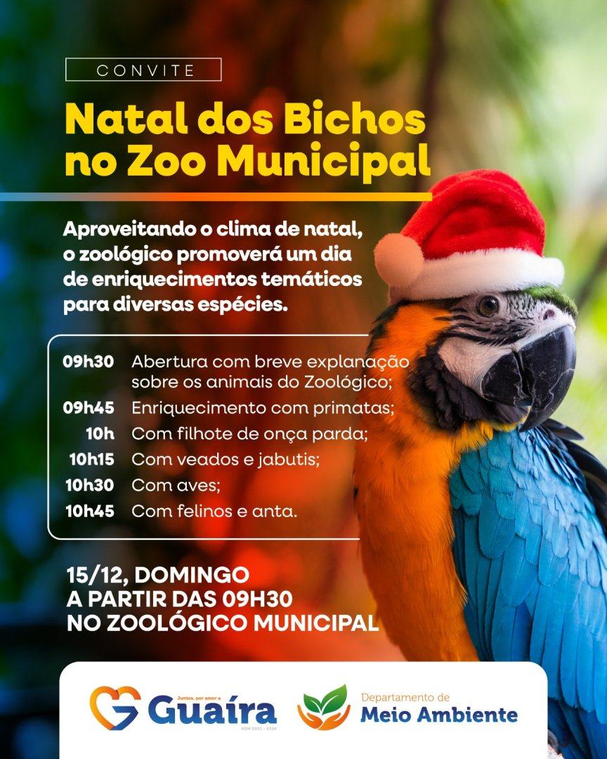 Jornal O Guaíra » Bichos do Zoo Comemoram o Natal - Jornal O Guaíra